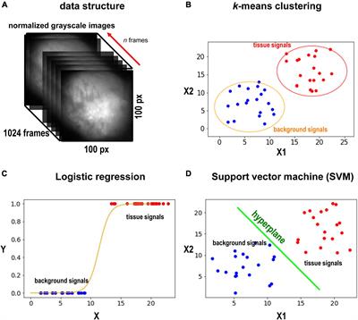 Frontiers | Automated Object Detection in Experimental Data Using Combination of Unsupervised ...